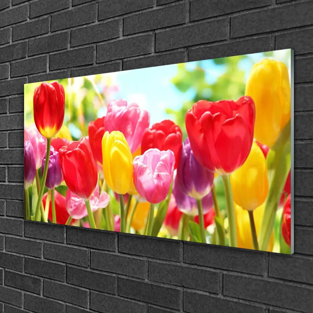 Obraz na skle Tulipány Květiny Rostlina 140x70 cm