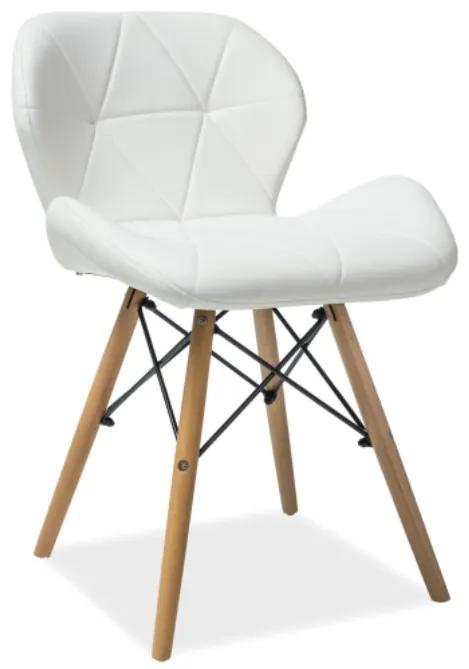 MAXIVA Jídelní židle - MATIAS, ekokůže, různé barvy na výběr Čalounění: bílá (ekokůže)