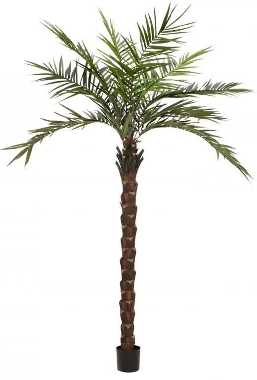 Umělá květina - Kentia  palma deluxe, 300cm