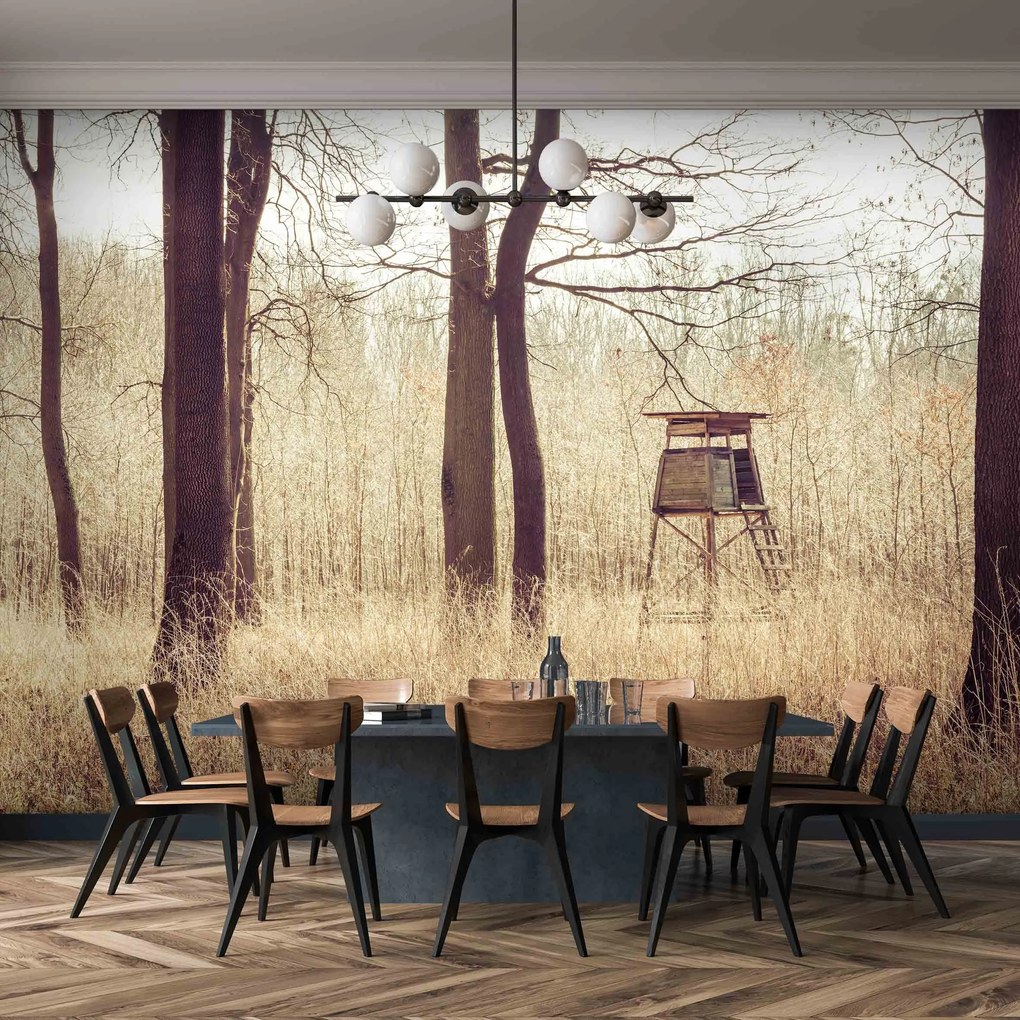 Malvis ® Tapeta Posed v lese Vel. (šířka x výška): 360 x 260 cm