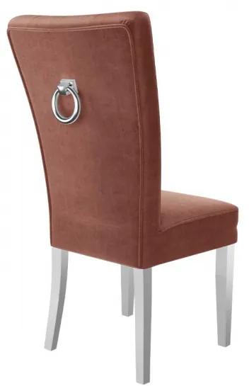 Čalouněná jídelní židle ST67 + klepadlo, Barva:: chrom, Barva: černá, Potah: Magic Velvet 2219