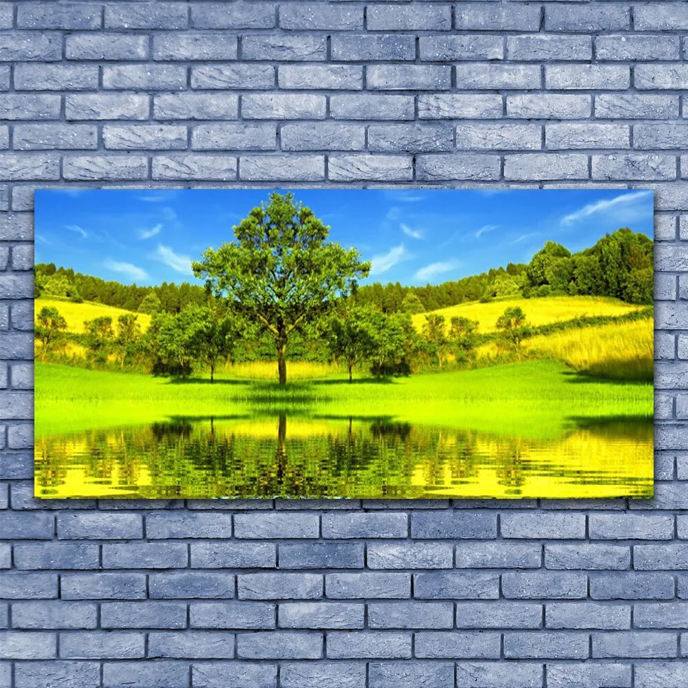 akrylový obraz Louka Strom Příroda 120x60 cm