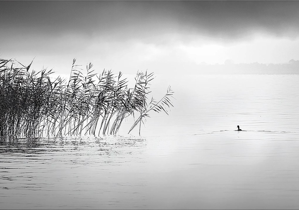 Obraz na plátně By the Lake II