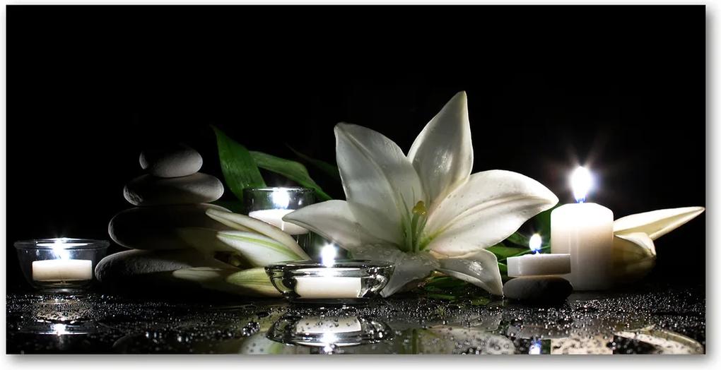 Foto obraz akryl do obýváku Bílá lilie