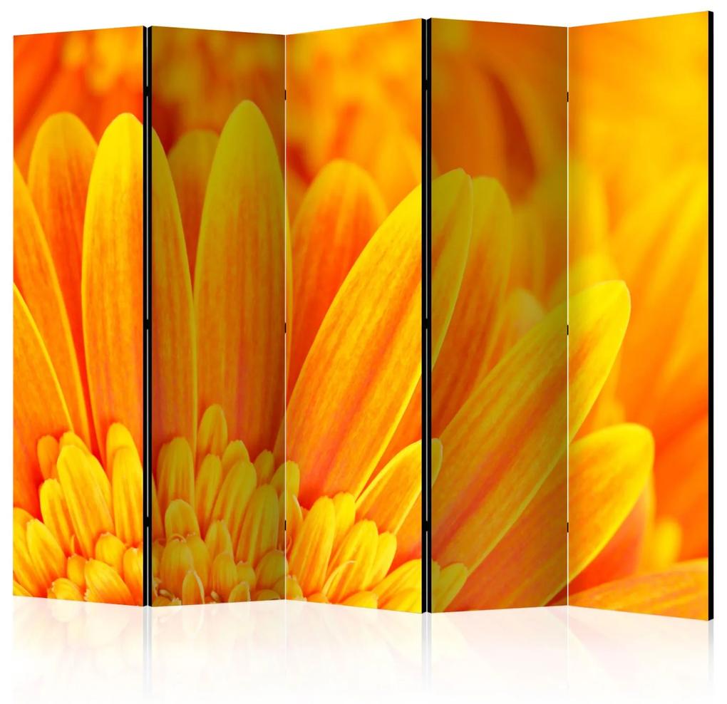 Paraván - Yellow gerbera daisies II [Room Dividers] 225x172