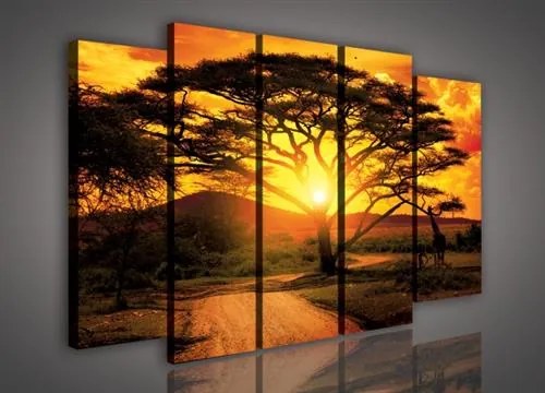 Obraz na plátně PS107S12, rozměr 150 x 100 cm, Austrálie při západu slunce, IMPOL TRADE
