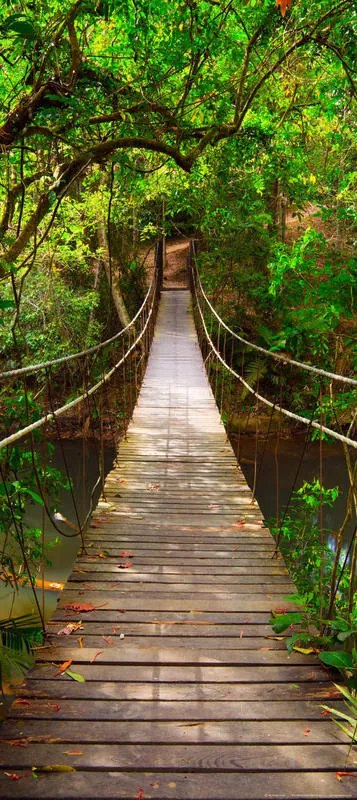 Fototapeta na dveře - Green bridge