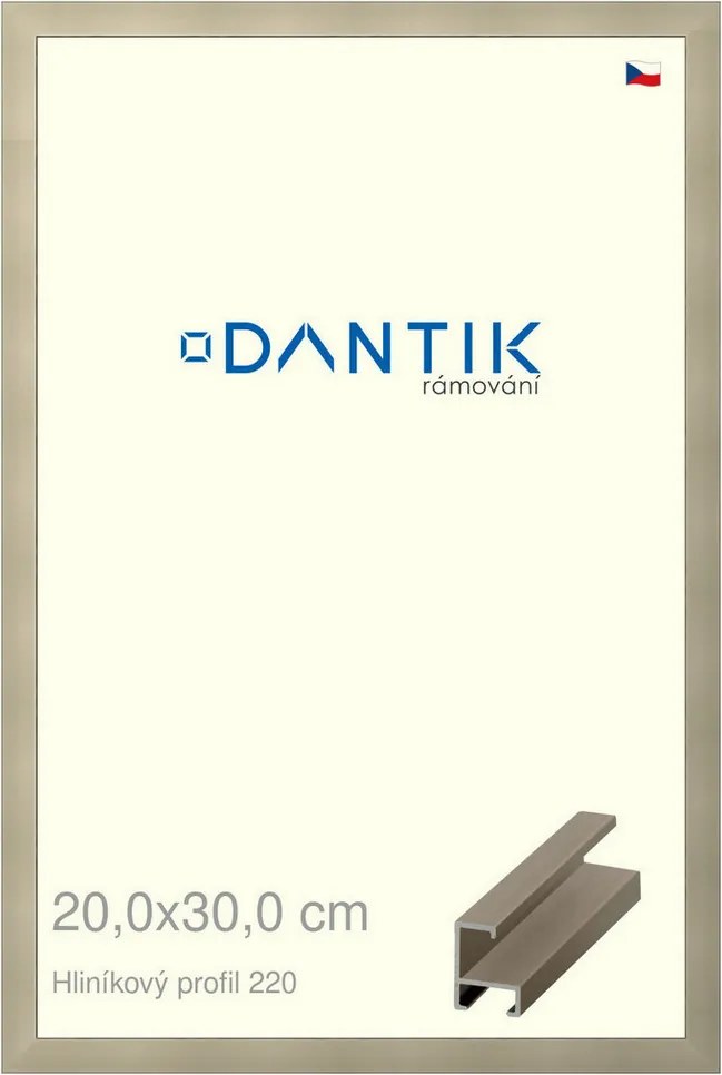 DANTIK rámeček 20x30 | ALU profil 6220 champagne (Sklo Čiré)