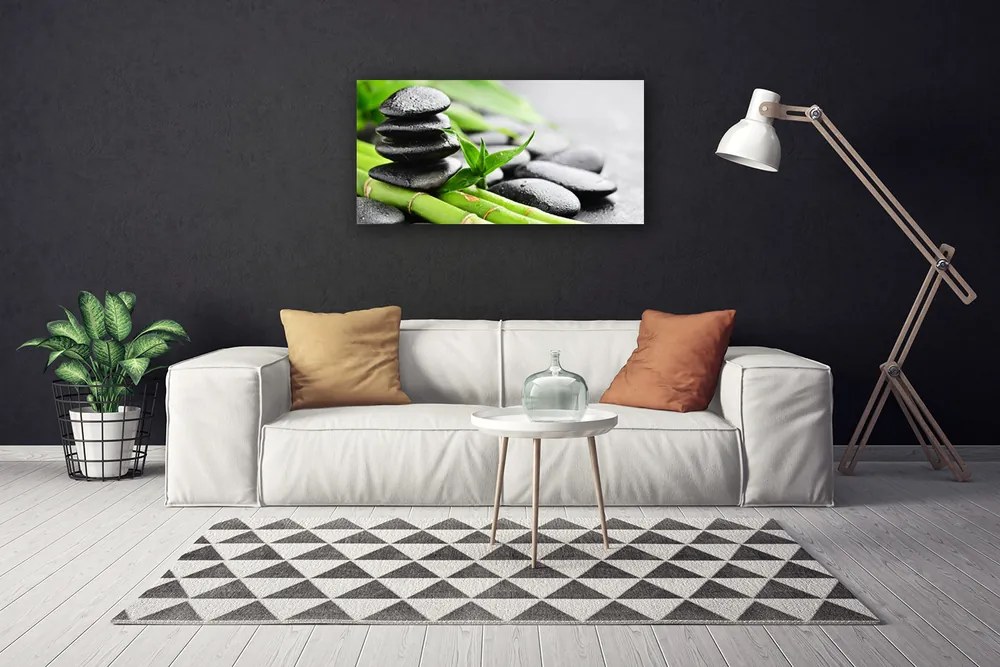 Obraz na plátně Bambus Kameny Rostlina 120x60 cm