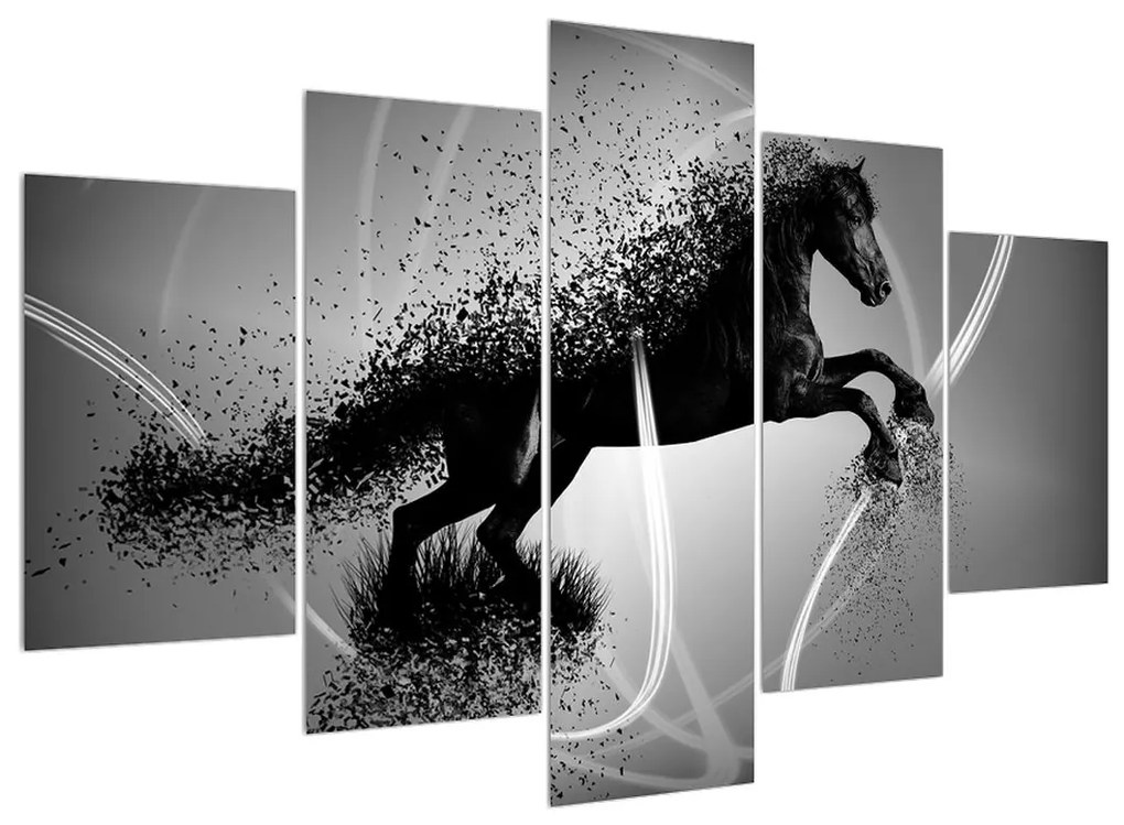 Moderní obraz koně (150x105 cm)