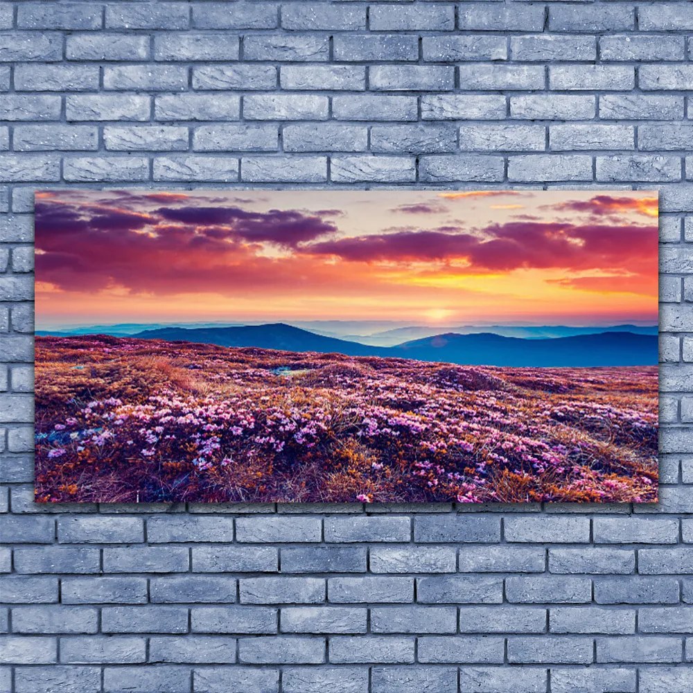 akrylový obraz Louka Hory Květiny Příroda 120x60 cm