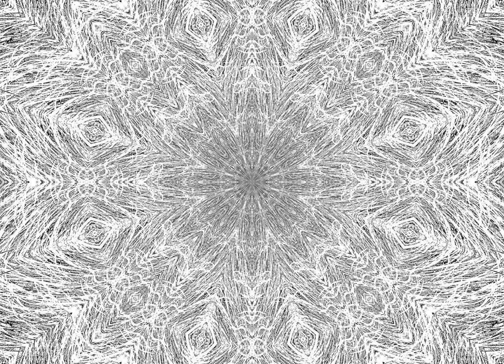 Malvis ® Tapeta Mandala šedá Vel. (šířka x výška): 288 x 200 cm