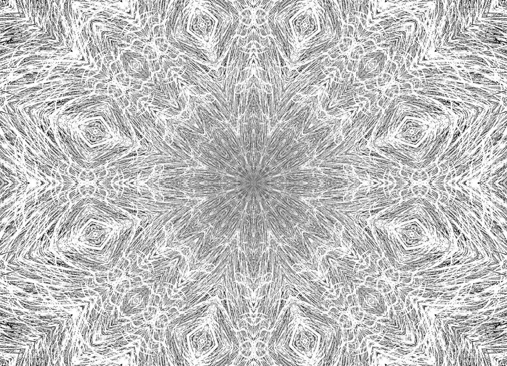 Malvis ® Tapeta Mandala šedá Vel. (šířka x výška): 504 x 310 cm