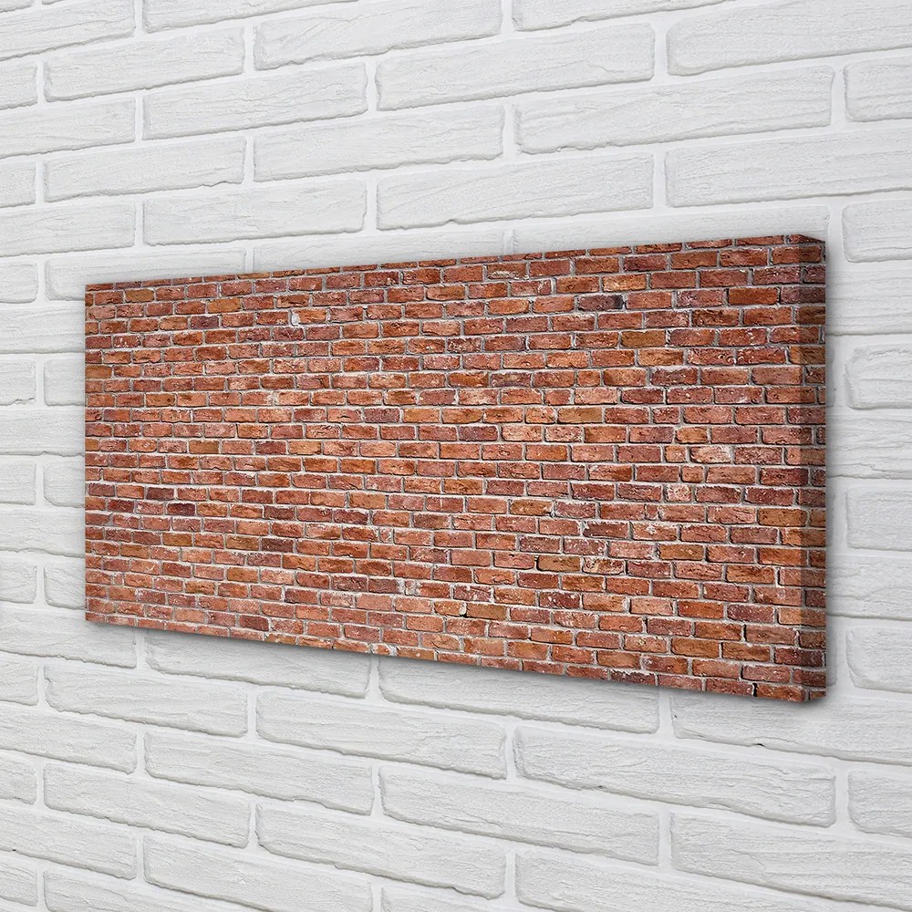 Obrazy na plátně Cihlové zdi wall 100x50 cm