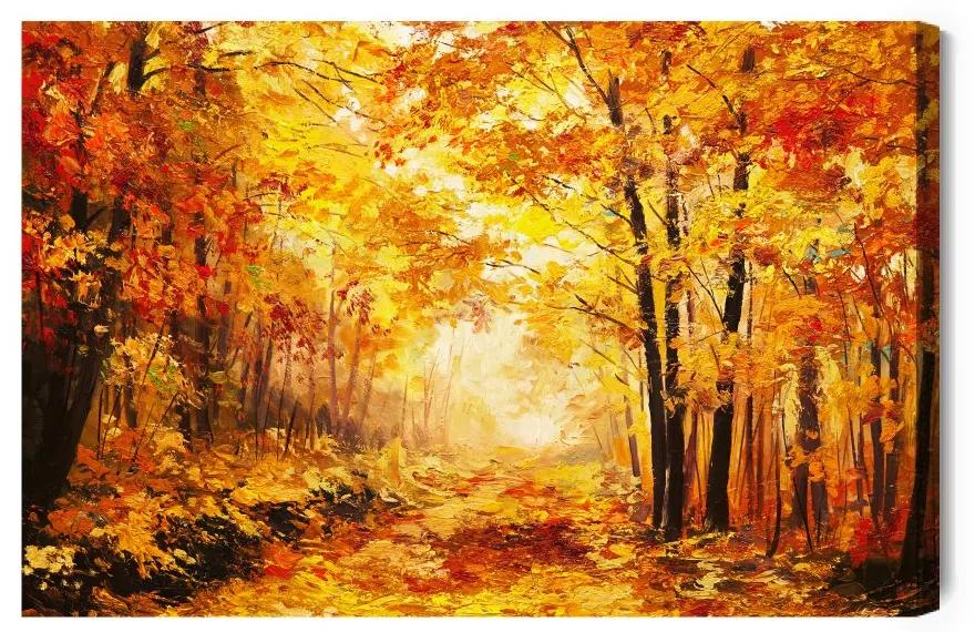 Obraz Les V Barvách Podzimu Nedostatek Nedostatek Přírodní plátno 70x50
