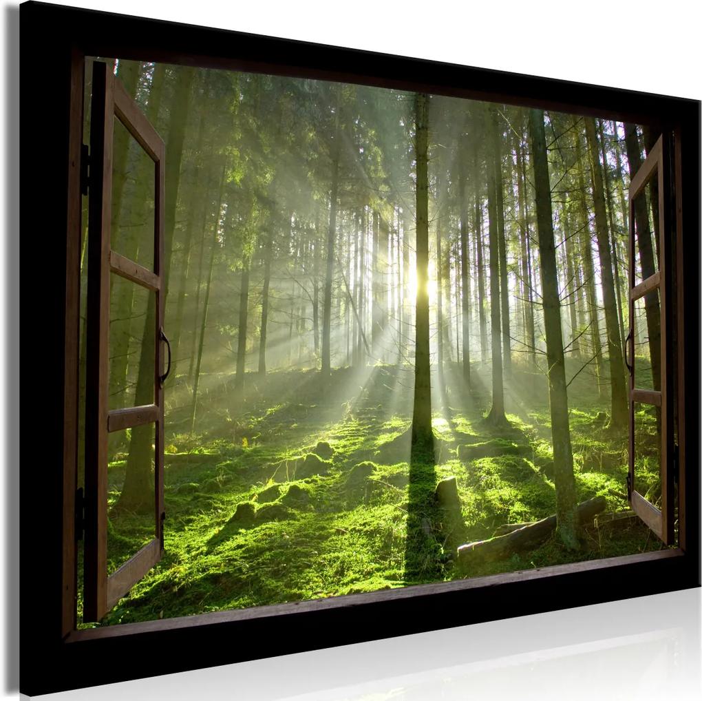 Obraz 3D okno les + háčky, hřebíčky ZDARMA Velikost (šířka x výška): 90x60 cm