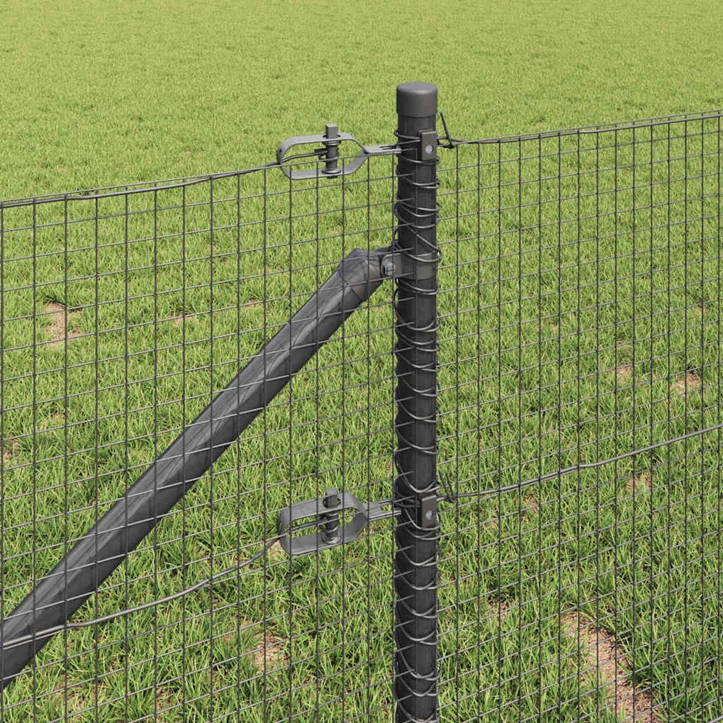 Svařované drátěné ploty s hroty 10 x 0,8 m Ocel potažená PVC 3352161
