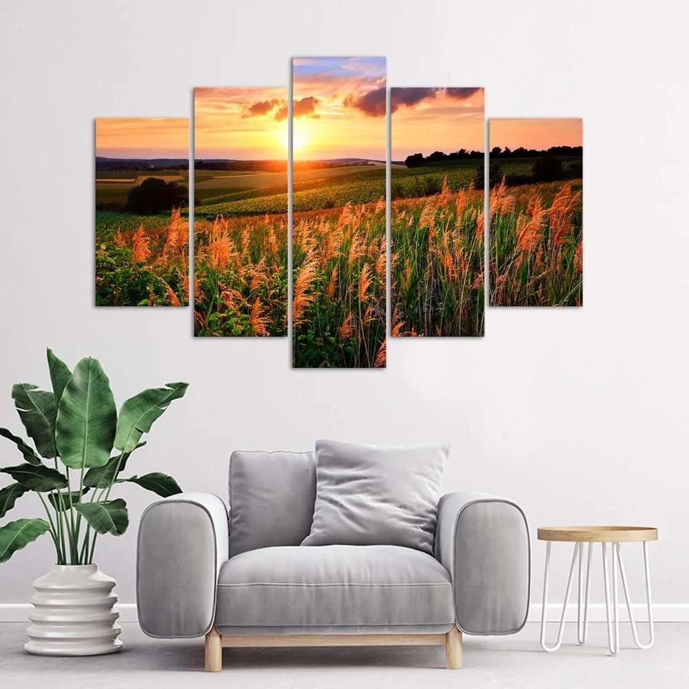 Obraz na plátně pětidílný Louka s květy při západu slunce - 150x100 cm