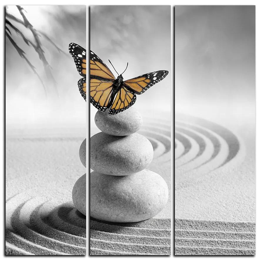 Obraz na plátně - Motýl na spa kameny - čtverec 3180QB (105x105 cm)