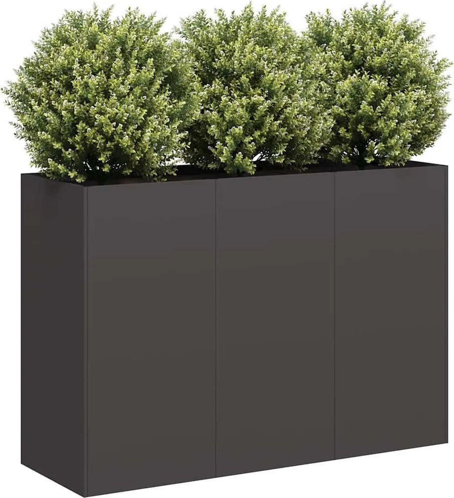 vidaXL Truhlík rezavá 120x40x80 cm [860721] Barva: Černá