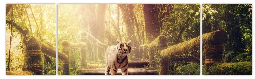 Obraz tygra v džungli (170x50 cm)