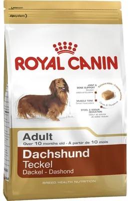 Krmivo pro psy Royal Canin Mini jezevčík 1,5 kg