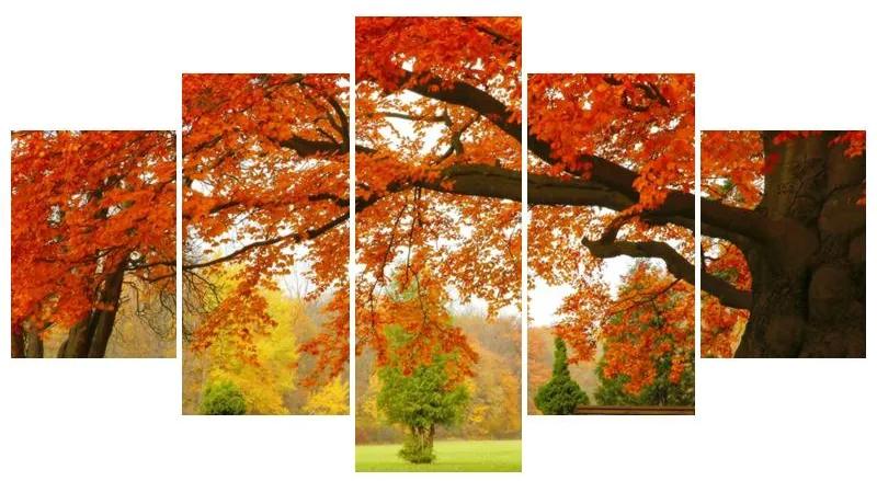 Krásný obraz podzimního parku (150x80 cm), 40 dalších rozměrů