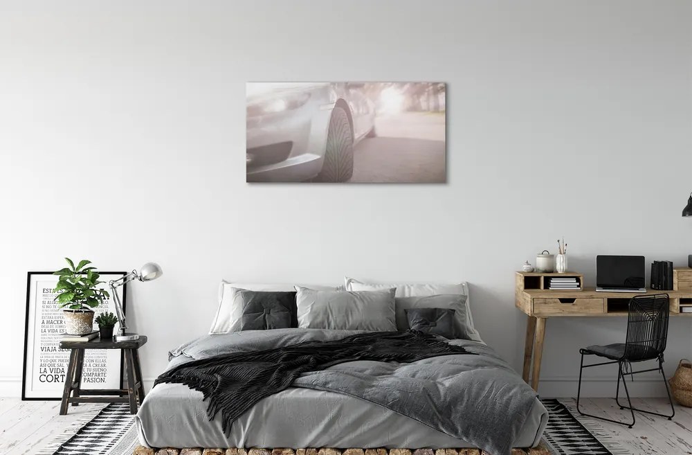 Obrazy na plátně Stříbrné auto street tree 125x50 cm