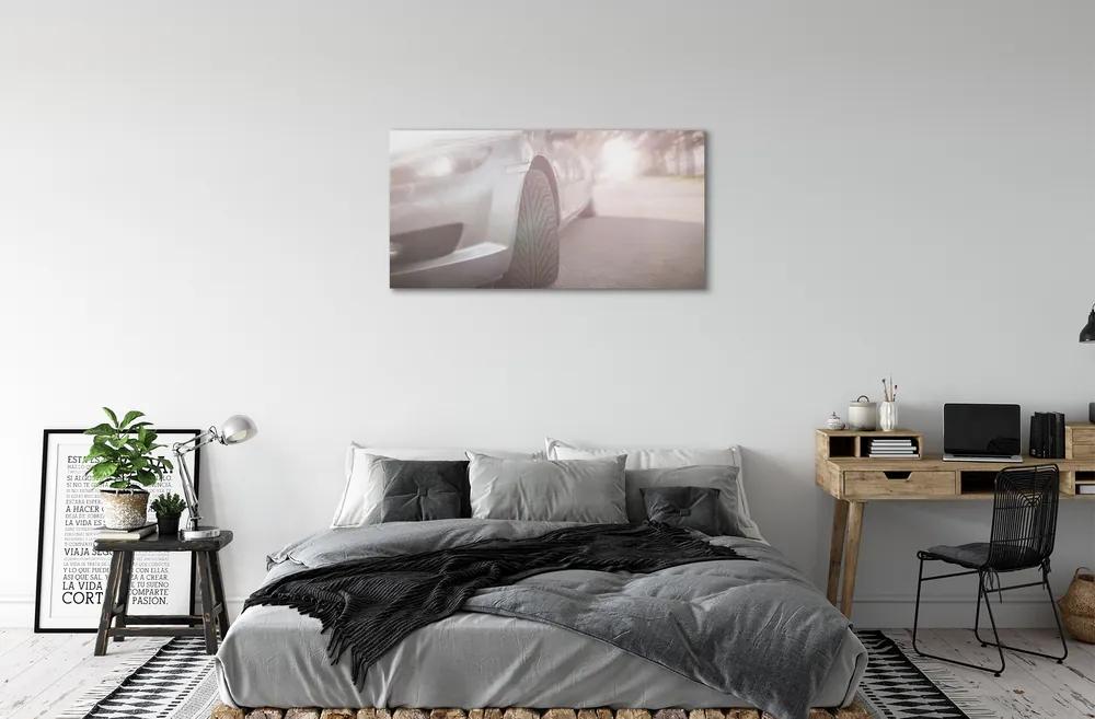 Obrazy na plátně Stříbrné auto street tree 140x70 cm