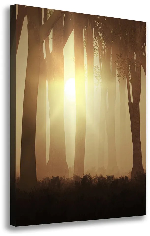 Wallmuralia Foto obraz canvas Mlha v lese 70x100 cm