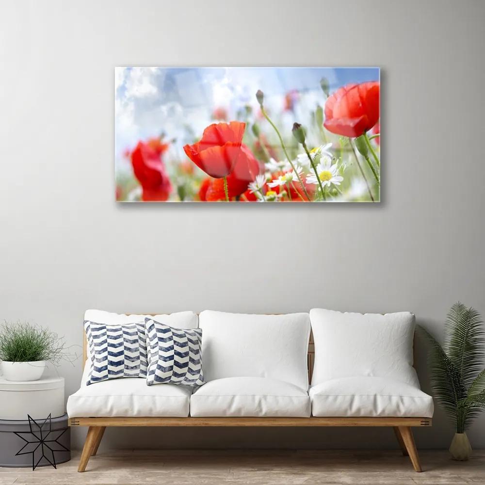 Plexisklo-obraz Máky Sedmikrásky Květiny 100x50 cm