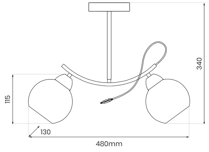 Stropní svítidlo Connor, 2x grafitové skleněné stínítko,