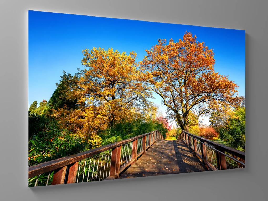 Liox Obraz most v podzimní krajině Rozměr: 120 x 80 cm