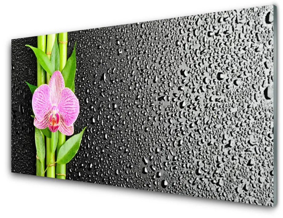 akrylový obraz Bambus Stonke Květ Rostlina 120x60 cm