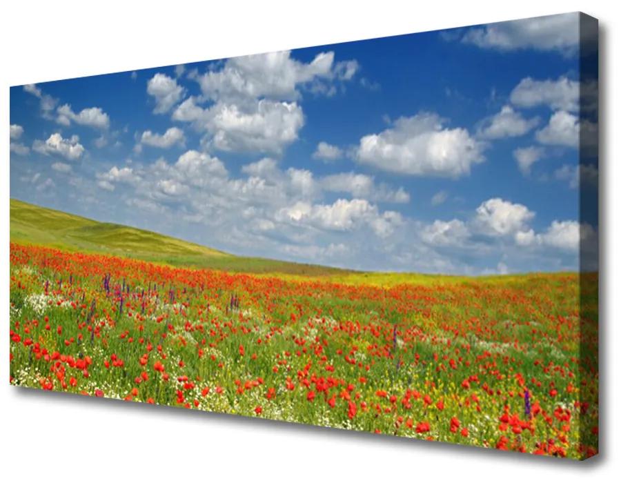 Obraz na plátně Louka Květiny Krajina 100x50cm
