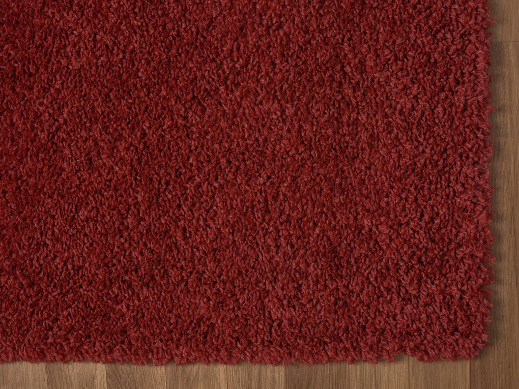 My Flair, Běhoun My Shaggy weinrot, 80x300, červená, chodba / předsíň