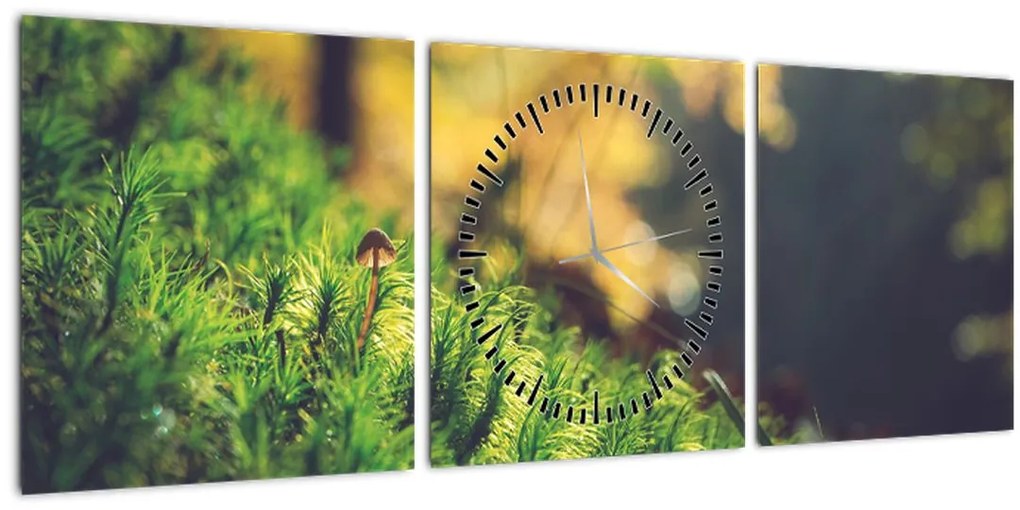 Obraz mechu s houbou (s hodinami) (90x30 cm)