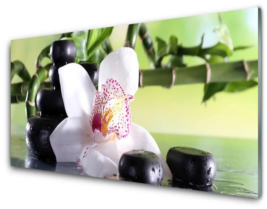 Plexisklo-obraz Orchidej Kameny Bambus 140x70 cm