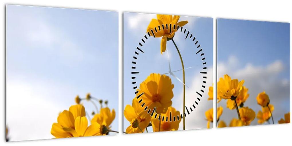 Obraz pole s jasně žlutými květy (s hodinami) (90x30 cm)