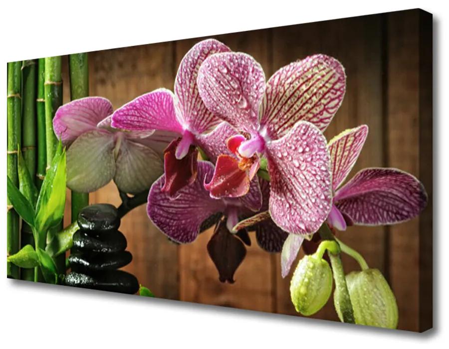 Obraz na plátně Kvetiny Bambus Rostlina 100x50 cm