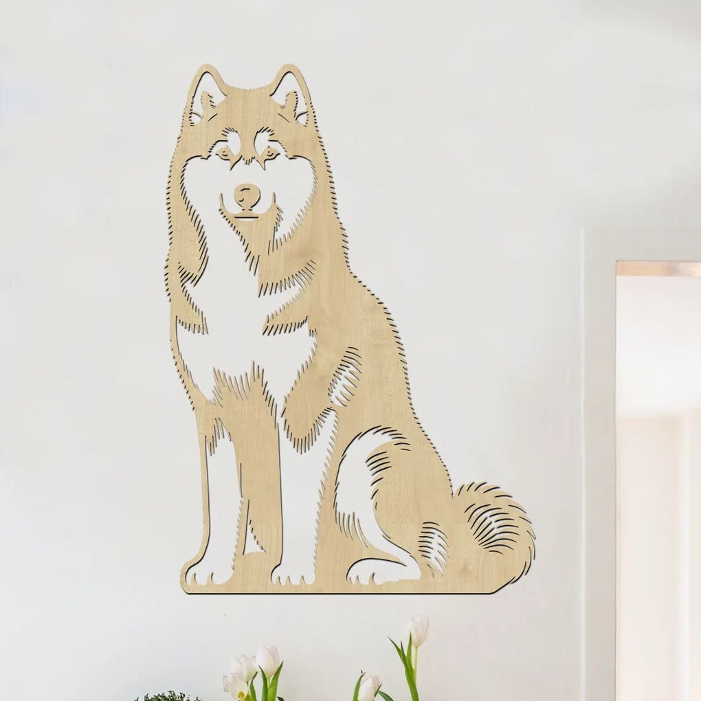 dřevo života Dřevěný obraz psa Husky Zvolte rozměr (cm): 42x60, Zvolte barvu dekoru: Buk