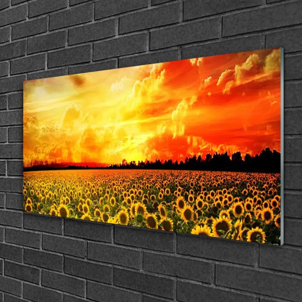 Obraz na skle Louka Slunečnice Květiny 100x50 cm