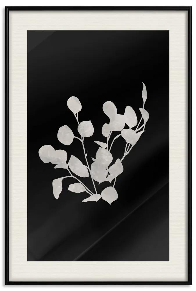 Plakát Eukalyptová větvička - minimalistické listy na tmavém pozadí