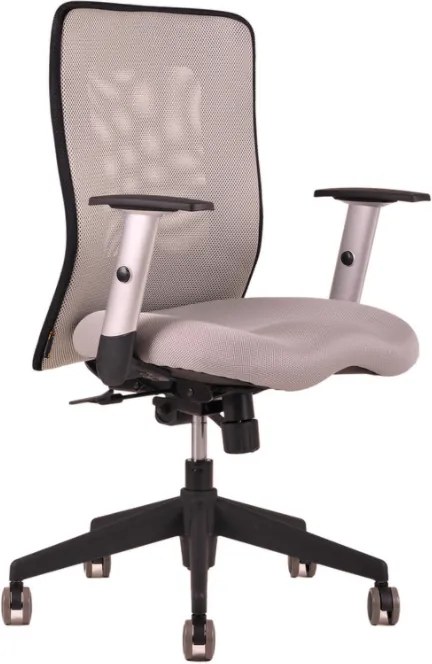 Kancelářská židle na kolečkách Office Pro CALYPSO - s područkami Celosvětle šedá 12A11
