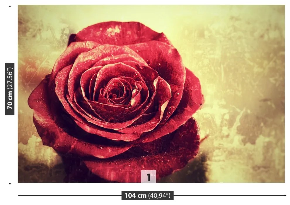 Fototapeta Červená růže 104x70