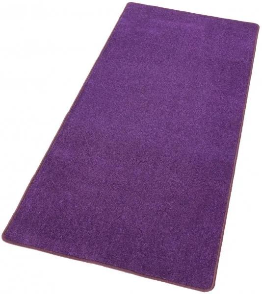 Hanse Home Collection koberce Kusový koberec Fancy 103005 Lila - fialový - 160x240 cm