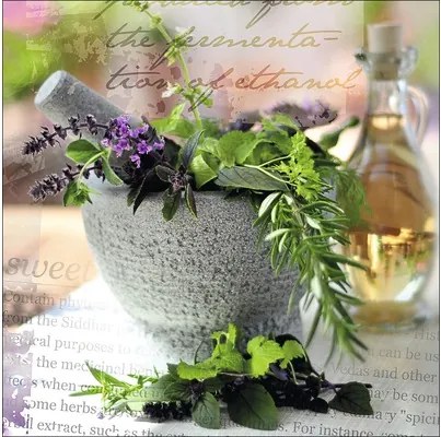 Obraz skleněný Herbage pestle I 20x20cm