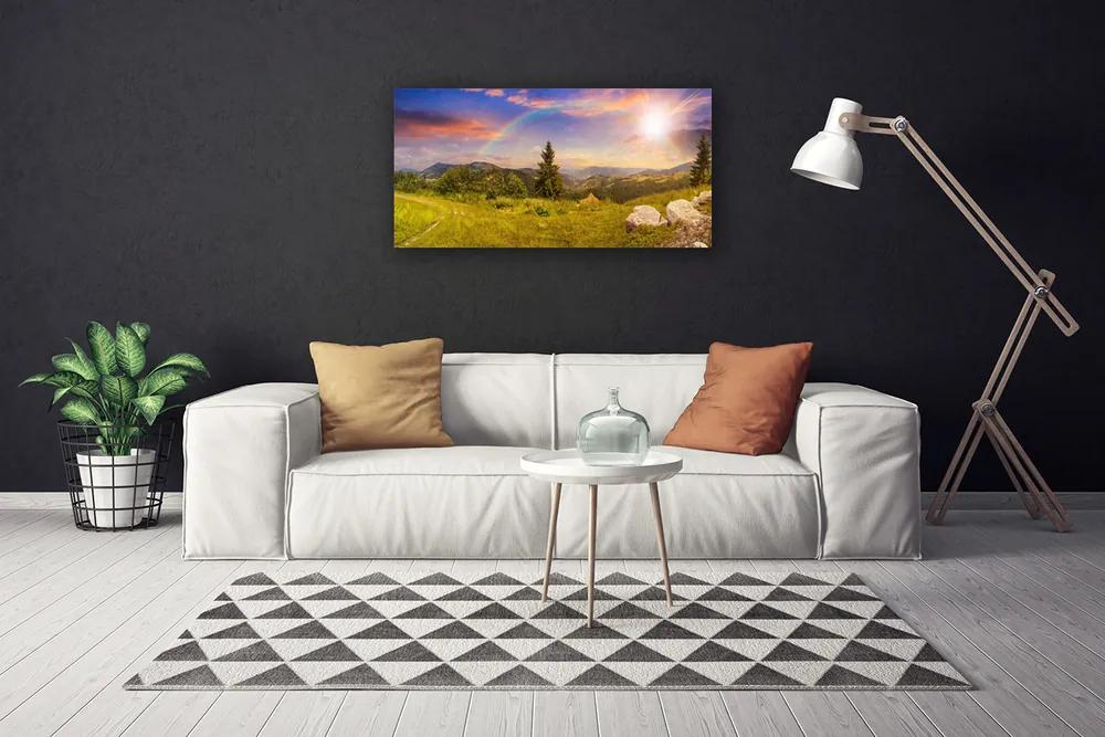 Obraz na plátně Hory Louka Kameny Příroda 125x50 cm