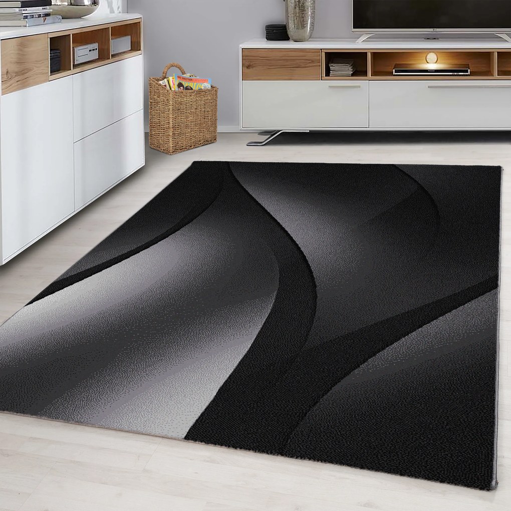 Ayyildiz, Kusový koberec Plus 8010 black, 120x170, černá, chodba / předsíň