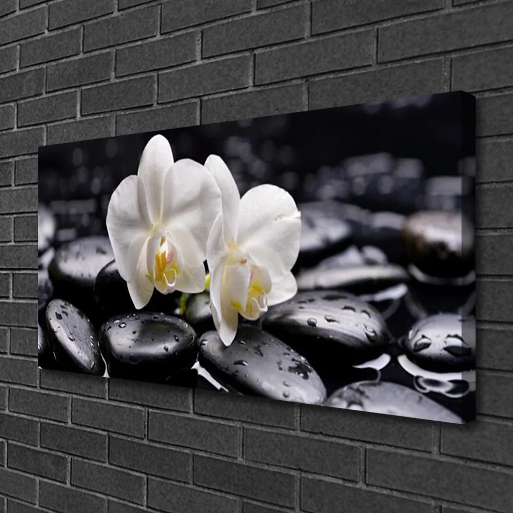 Obraz na plátně Kameny Zen Bílá Orchidej 100x50 cm